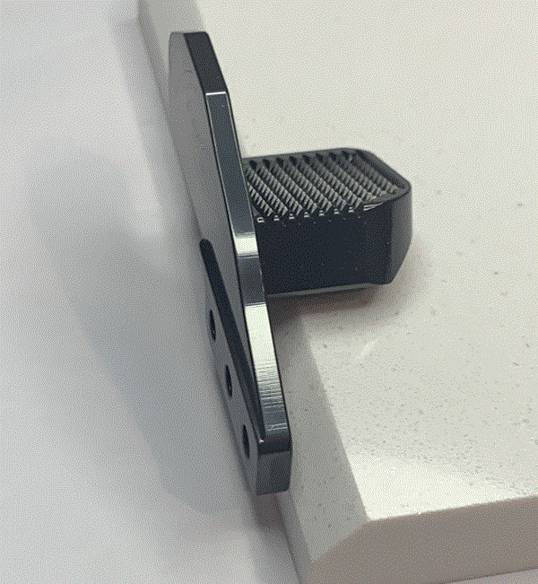 Slide Stop Thumb Rest for 2011 with Agressive Stippling from Zadik ...